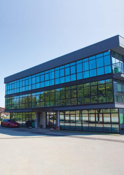 T-Tex | Una Storia di Successo